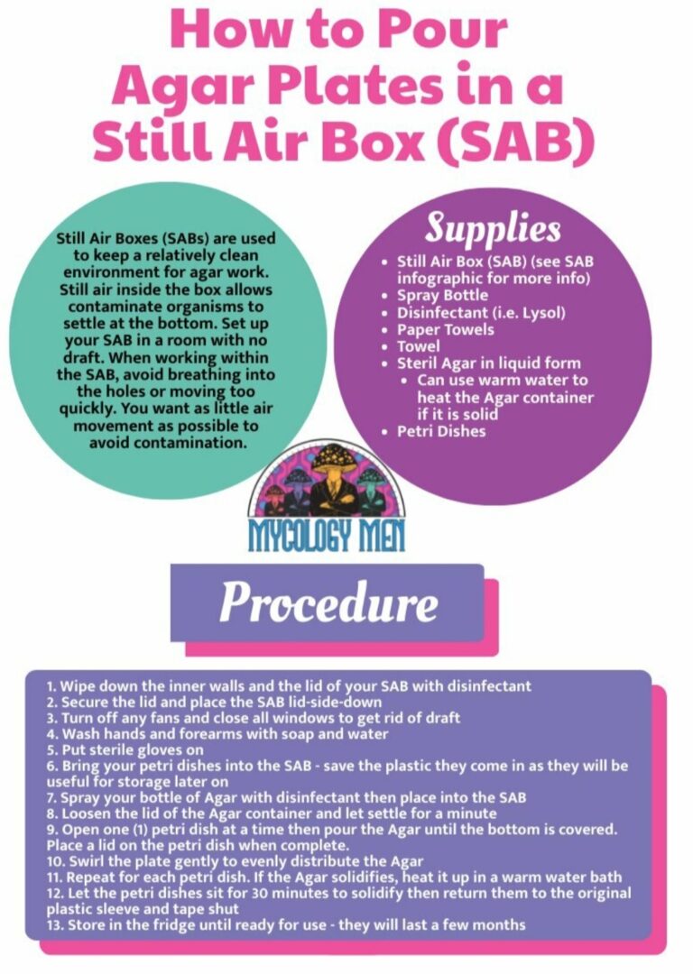 The Complete Guide How to Make Agar at Home | Mycology Men